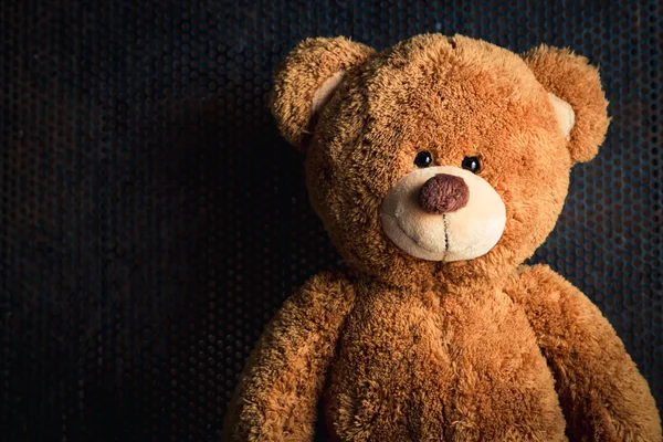 Teddy bears — Stock Photo © AEyZRiO #74153883
