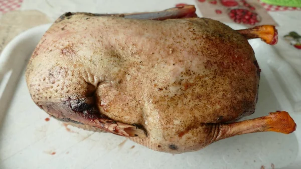 Turkey face Stock Photos, Royalty Free Turkey face Images | Depositphotos