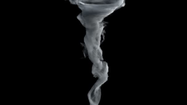 Tornado or whirlwind looped animation — Stock Video © arsenyg #76315837