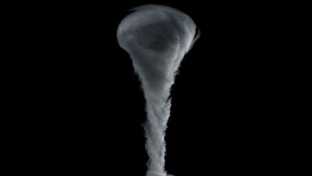 Tornado or whirlwind looped animation — Stock Video © arsenyg #76315837