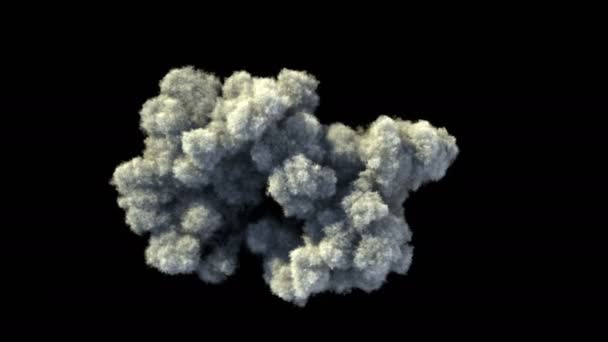 Shockwave effect on black — Stock Video © arsenyg #77422548