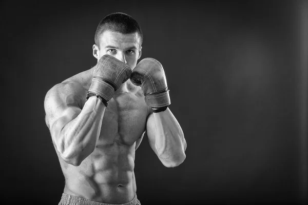 Boxing men Images - Search Images on Everypixel
