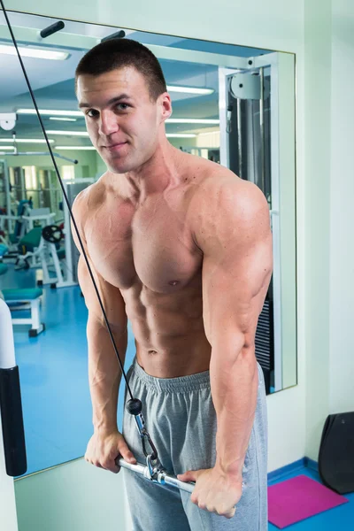 Fit man exercising at the gym. - Stock Image - Everypixel