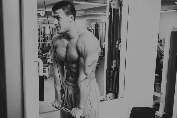 Strength training professional athlete in the gym - Stock Image ...