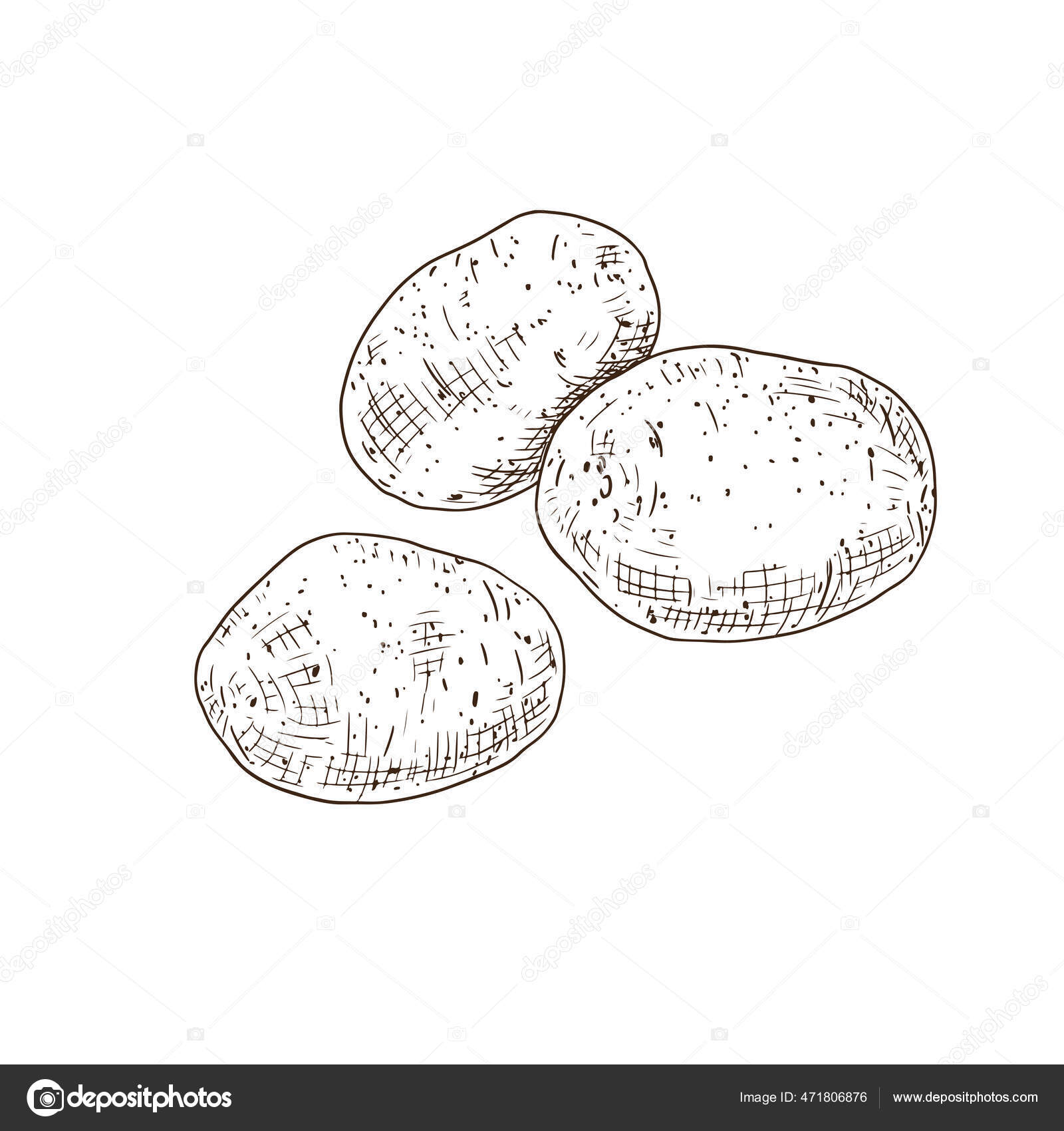Patata Dibujada Mano Ilustración Vectorial Aislada Sobre Fondo Blanco ...