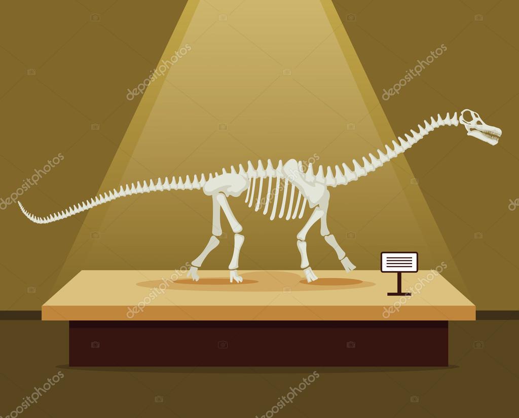 Titanosaur bones skeleton in museum exhibition. Vector flat cartoon ...