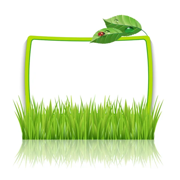 Çimen yaprakları Vector Art Stock Images | Depositphotos