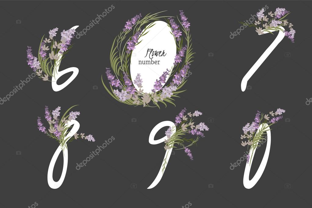 Números de colección de lavanda floral Vector de stock #93163062 de ...