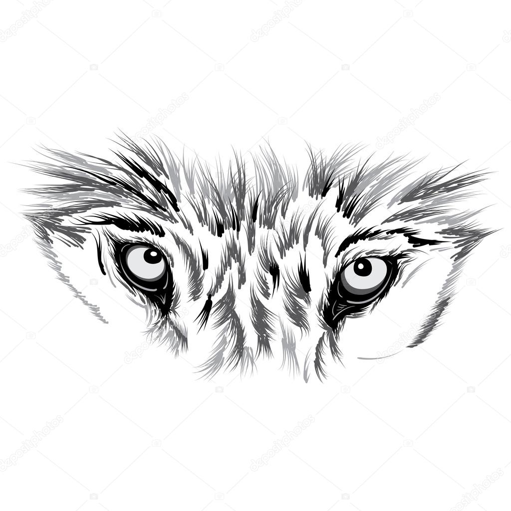Beautiful Wolf face. Vector illustration Stock Vector by ©ElemenTxDD ...