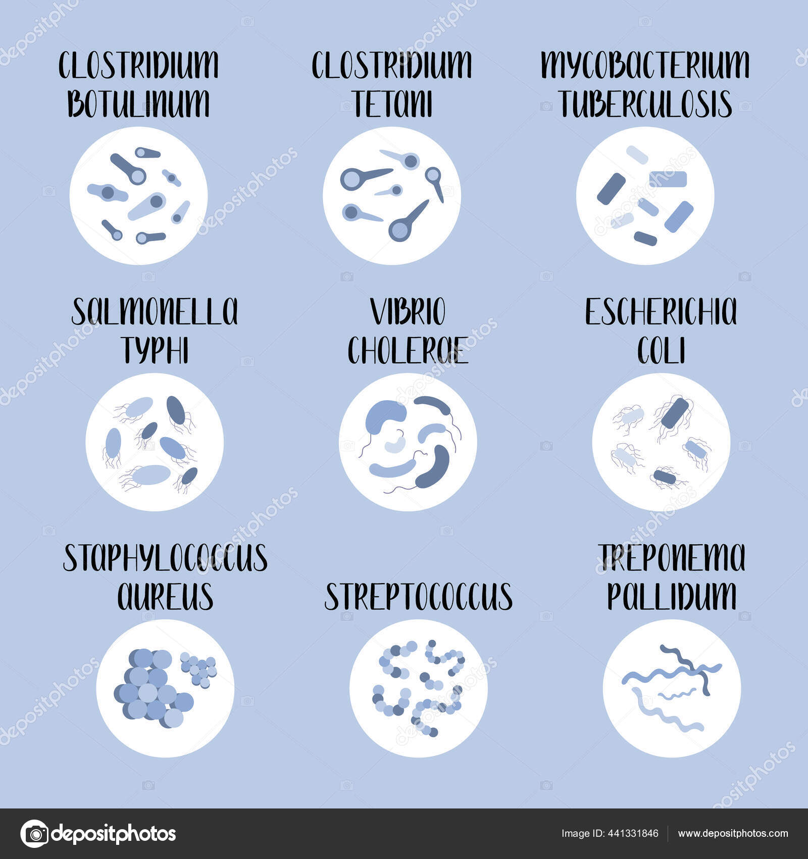 Morfologia Da Colonia De Escherichia Coli Escherichia Coli: An