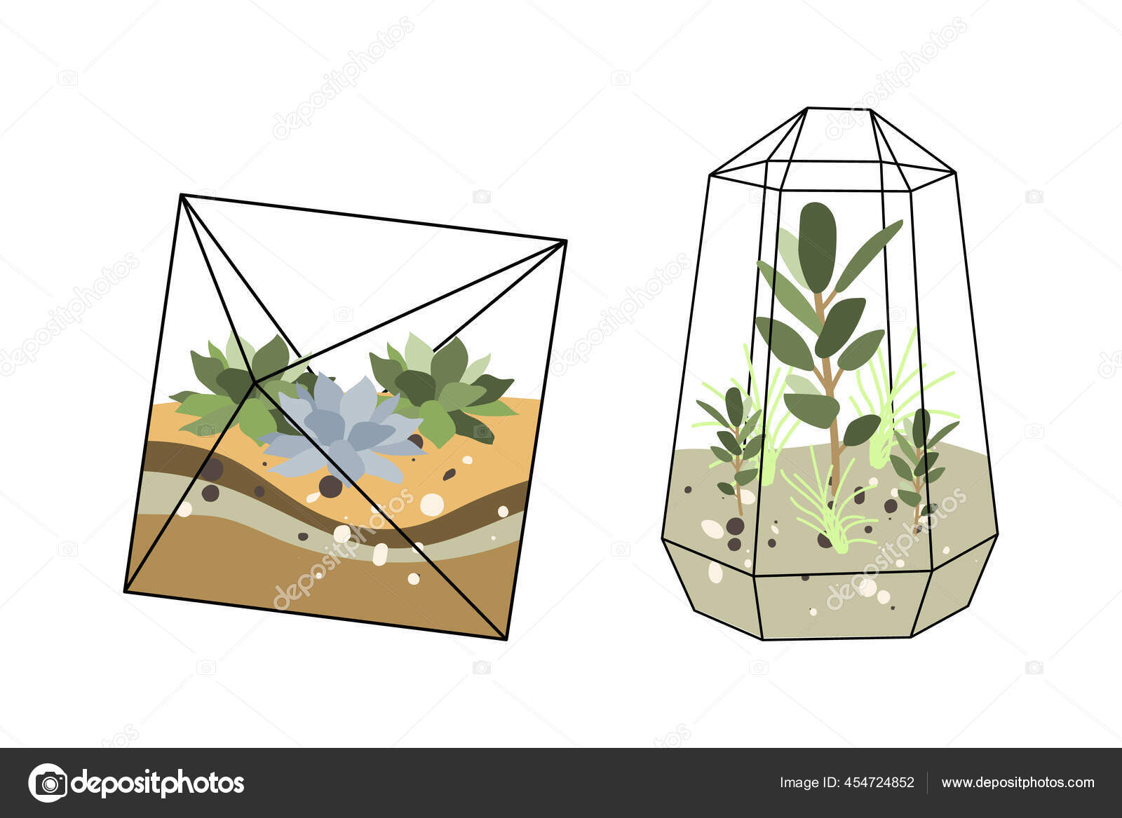 Florarium Glass Vase Succulent Plants Cactuses Geometric Glass Pot ...