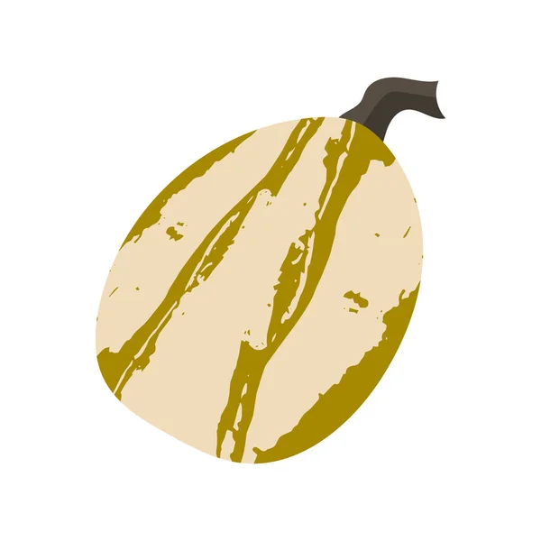 100,000 Delicata スカッシュ Vector Images | Depositphotos