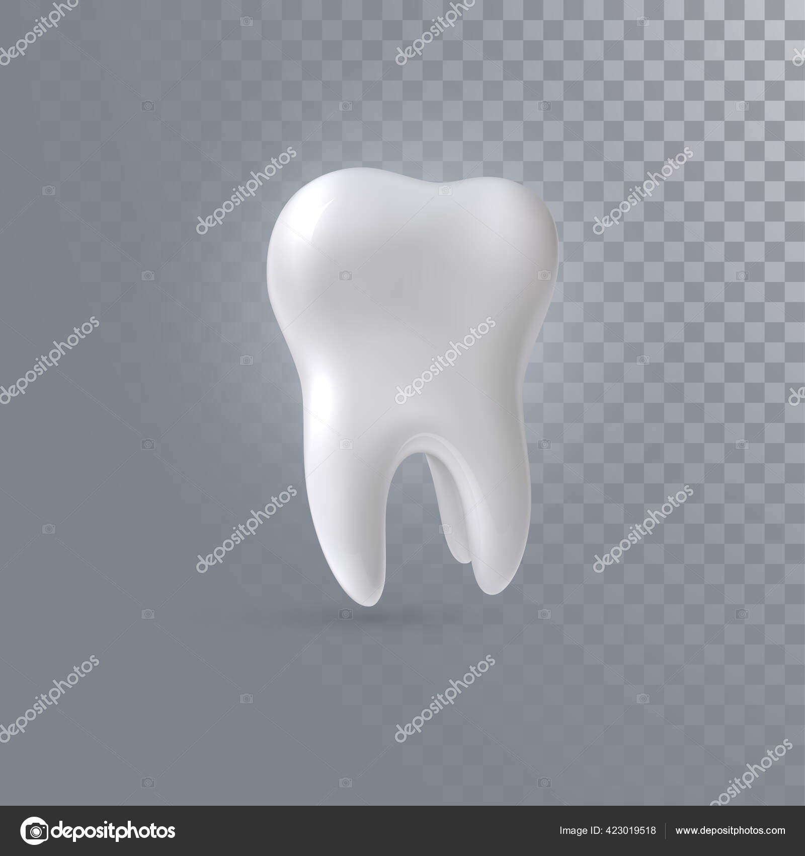 Realistic Tooth Isolated Transparent Background Vector Dentistry ...