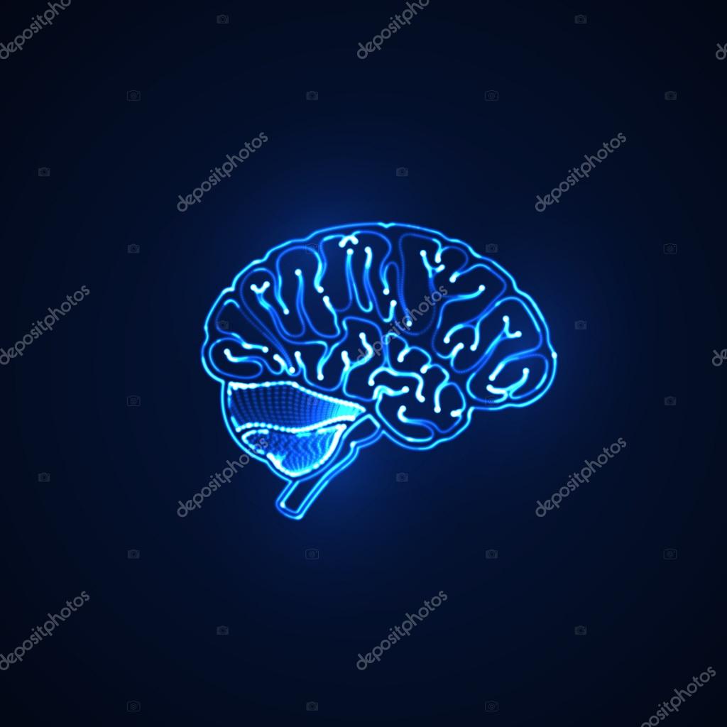 Human brain. neon sign Stock Vector Image by ©maximmmmum #90667066