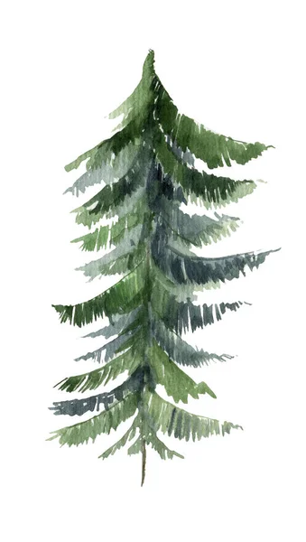 Fenyőfa rajz Stock Photos, Royalty Free Fenyőfa rajz Images | Depositphotos