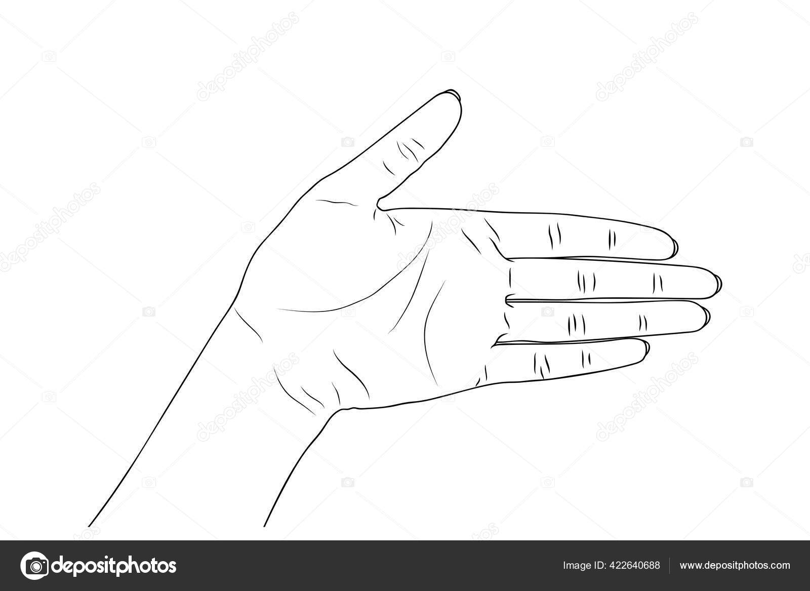 Cartoon Hands Isolated White Background Vector Illustration Stock ...