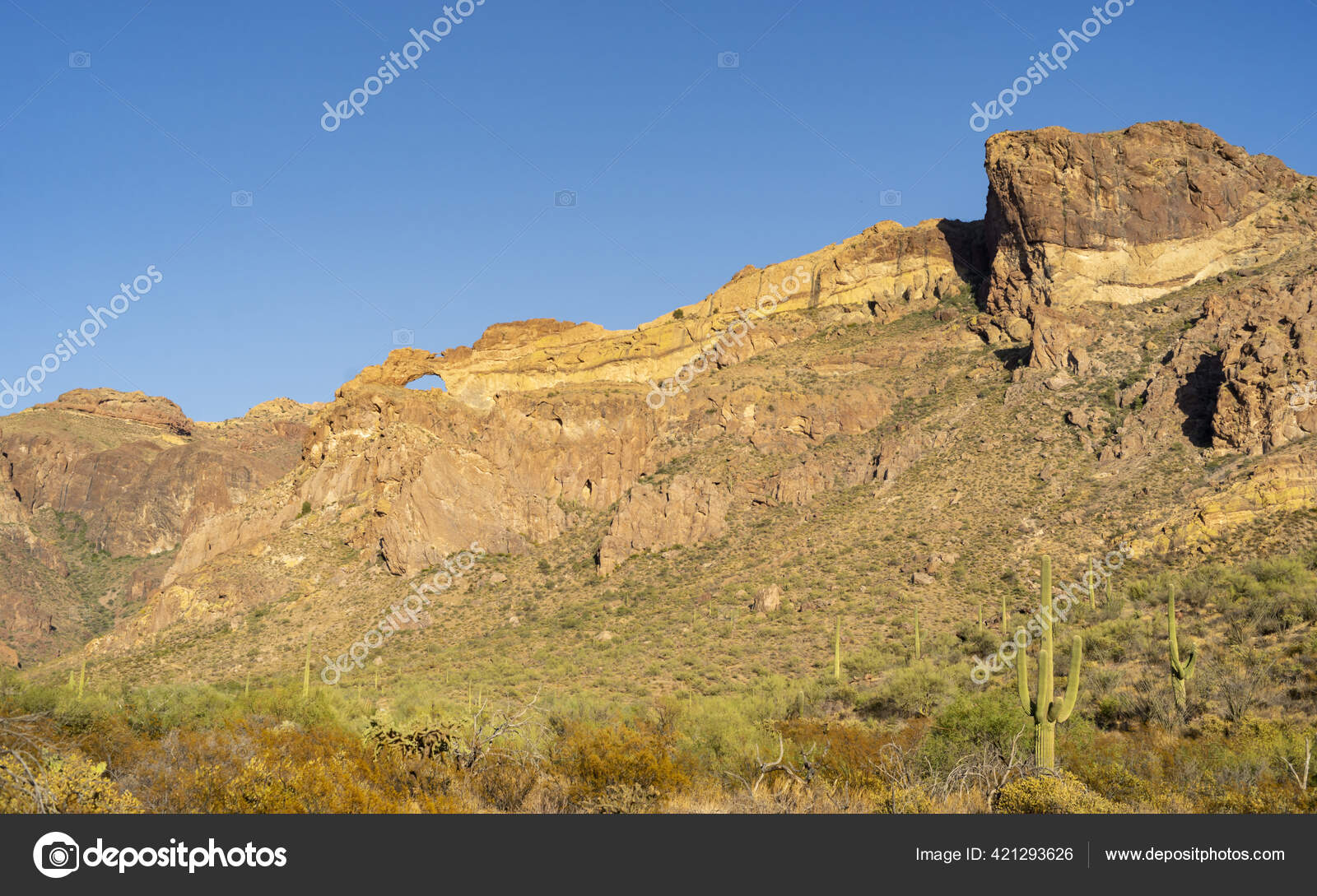 Large Natural Arch Hangs Arch Canyon Organ Pipe National Monument Stock ...