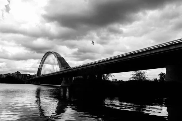 Flying under bridge Stock Photos, Royalty Free Flying under bridge ...