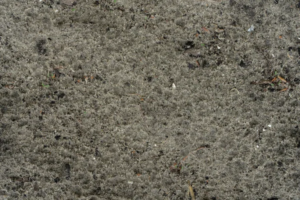 Worms in soil Stock Photos, Royalty Free Worms in soil Images ...