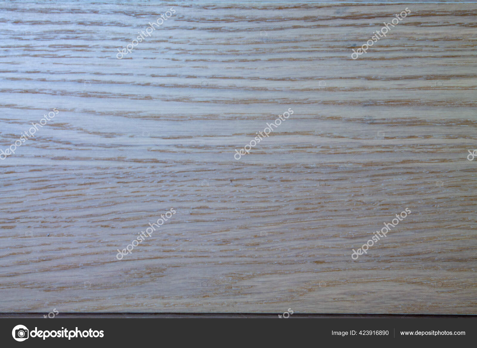 Light Colored Wooden Texture Backgrounds Stock Photo by ©Wirestock ...