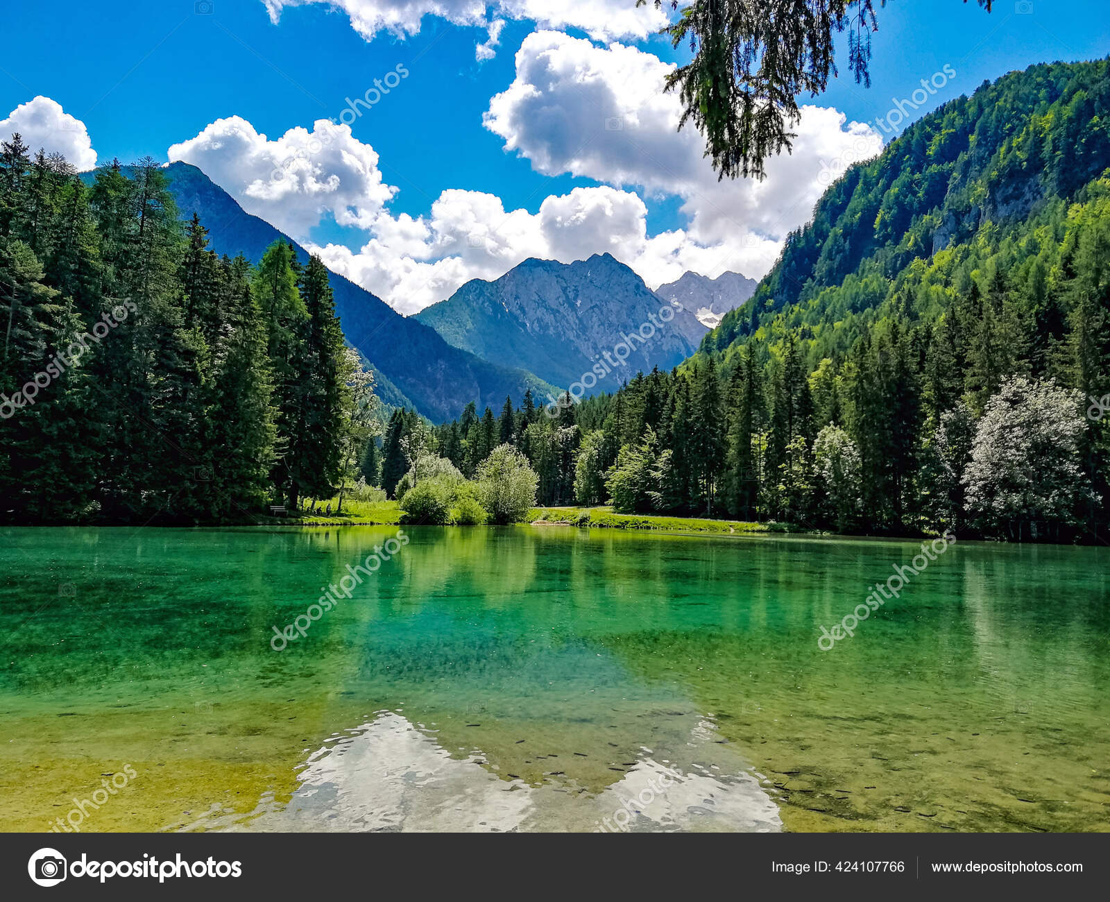 Beautiful Shot Lake Forest Alongside — Stock Photo © Wirestock #424107766