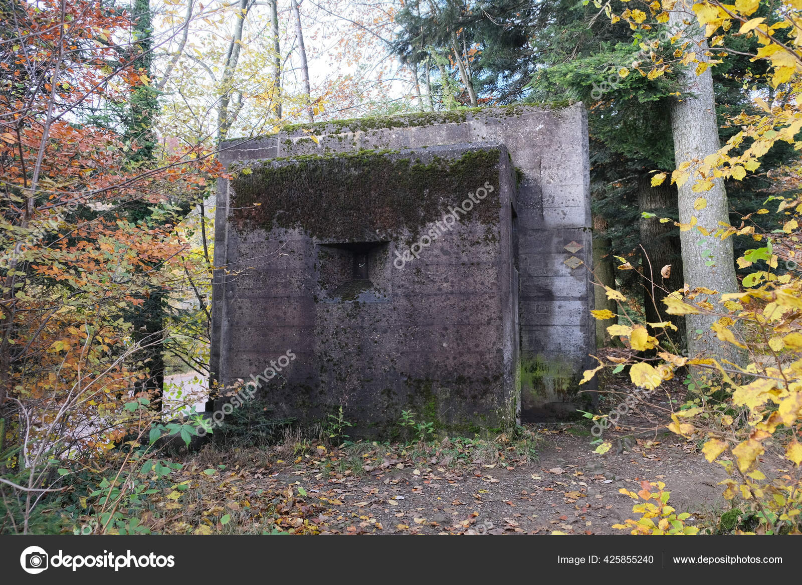 Shot World War Two Bunker Switzerland Stock Photo by ©Wirestock 425855240