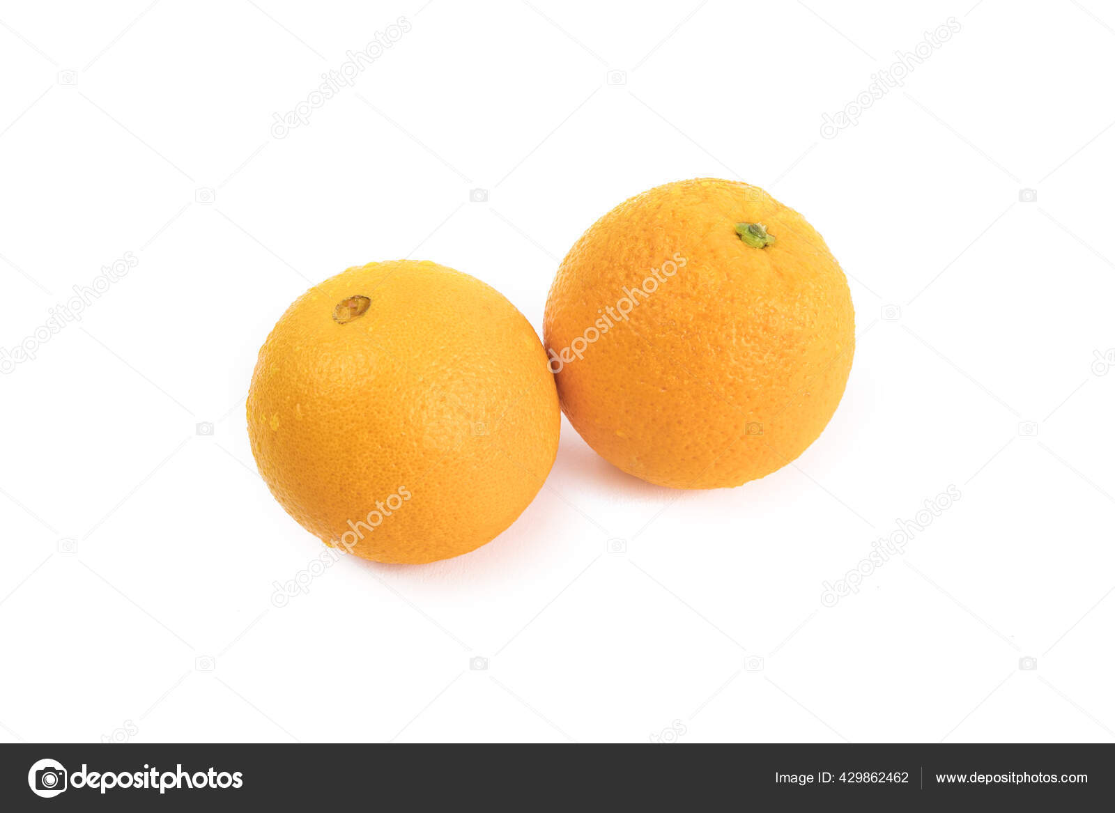 Two Oranges Isolated White Background Stock Photo by ©Wirestock 429862462