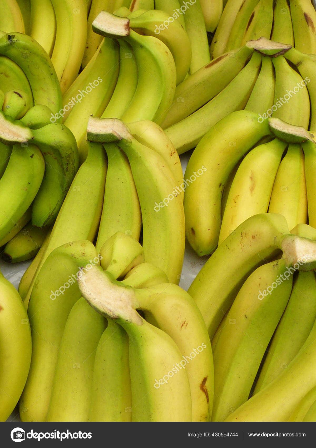 Closeup Vertical Shot Clusters Fresh Ripe Bananas Market Table — Stock ...