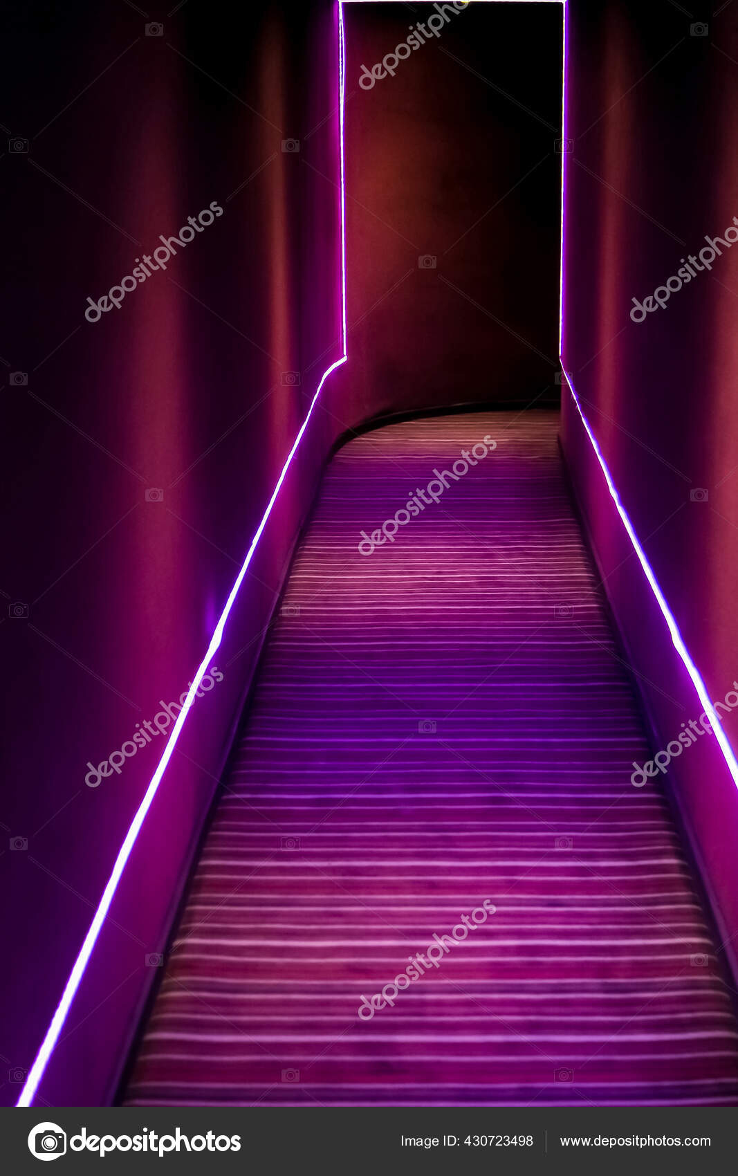 Vertical Shot Purple Illuminated Interior Path — Stock Photo ...