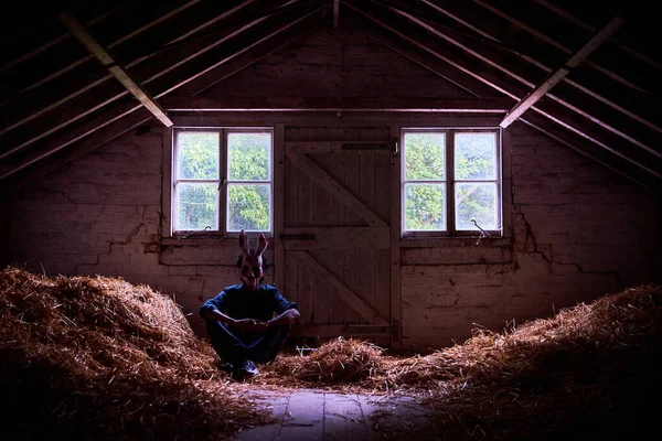 Haunted house man in window Stock Photos, Royalty Free Haunted house ...