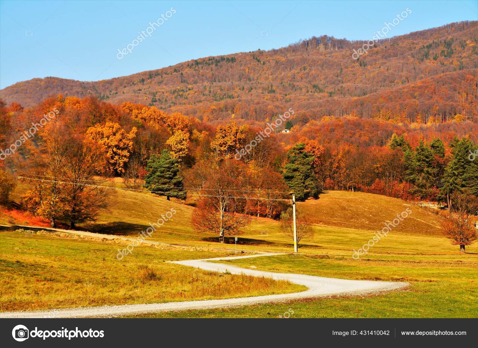 Beautiful View Pathway Forest Fallen Autumn Leaves Trees Stock Photo by ...
