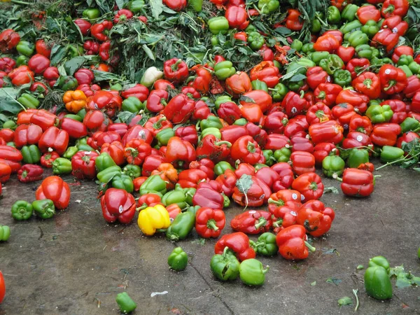 Comida expirada fotos de stock, imágenes de Comida expirada sin ...