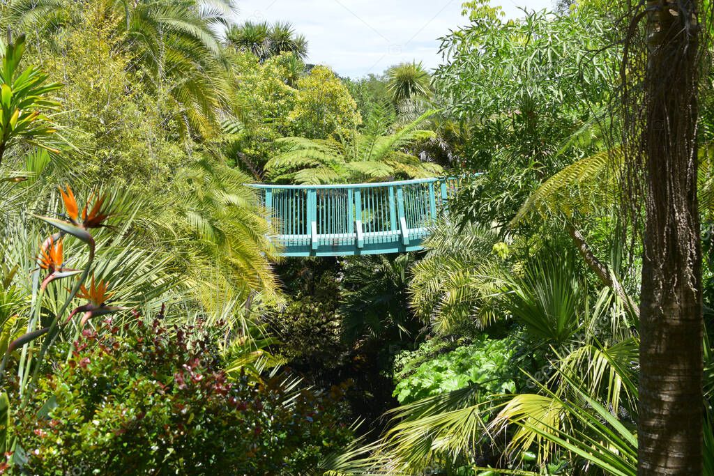 HAMILTON, NUEVA ZELANDA - 02 / 12 / 2020: Vista del puente verde sobre ...
