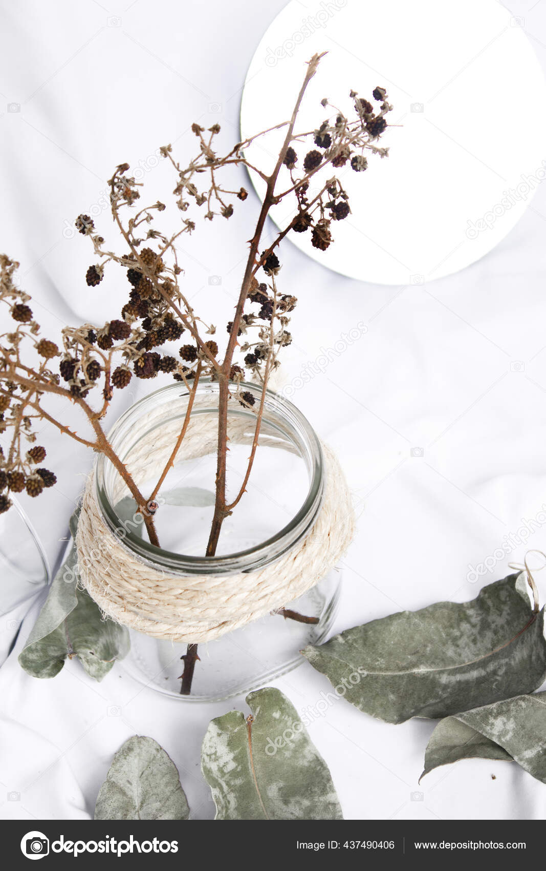 Beautiful Still Life Shot Tree Branches Jar Leaves White Surface Stock ...