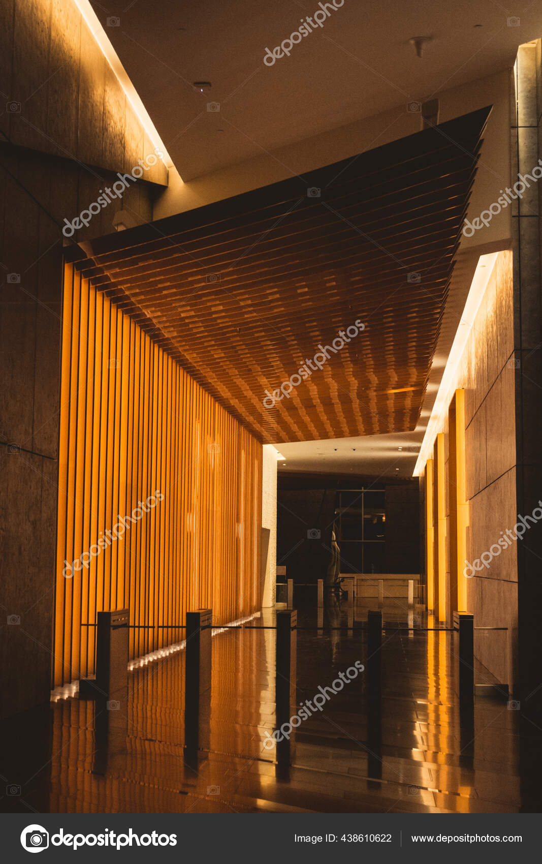 Vertical Shot Modern Building Hall Suspended Ceiling Vertical Wall ...