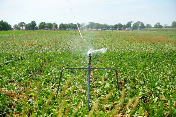 Farm field sprinkler Stock Photos, Royalty Free Farm field sprinkler ...