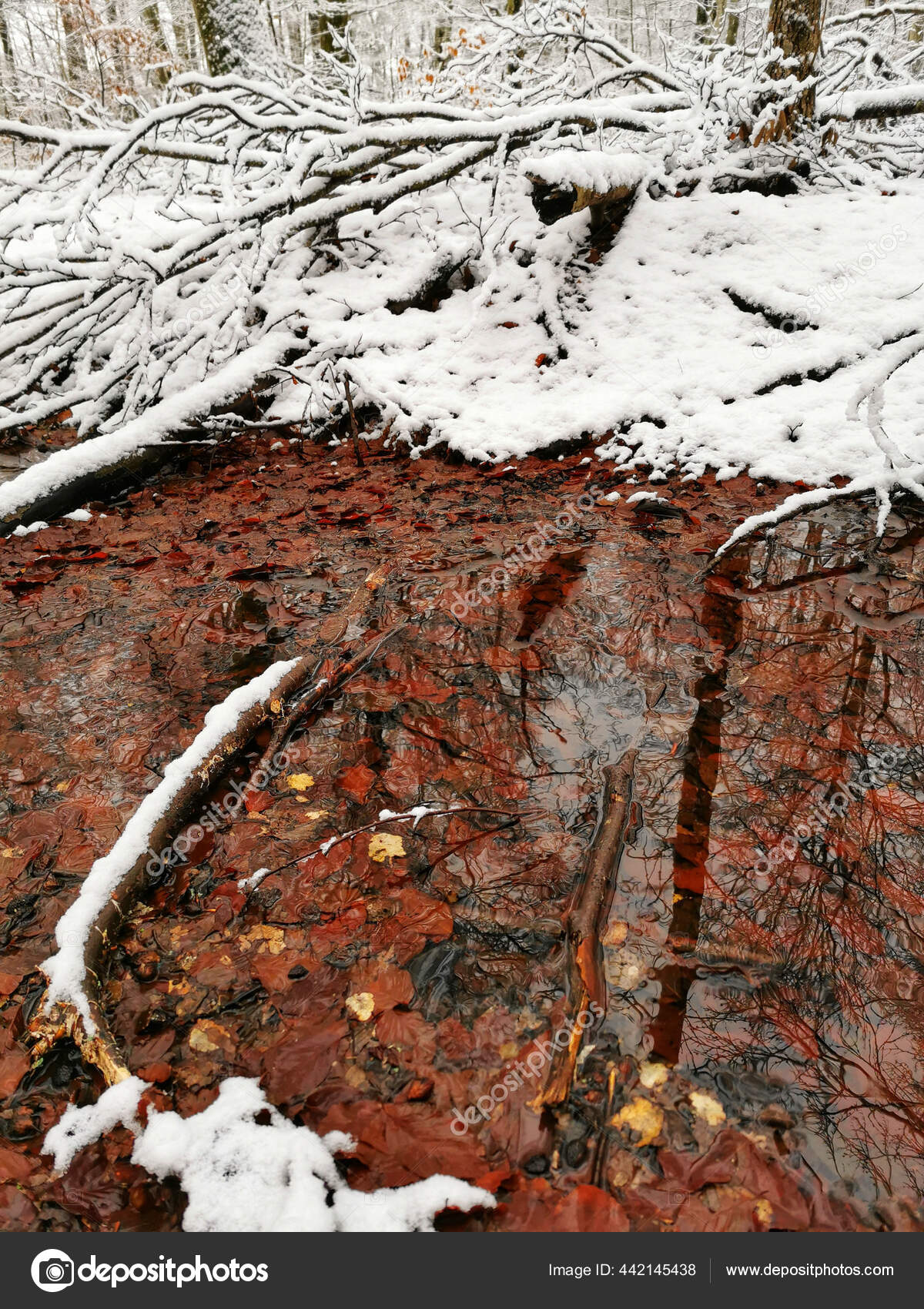 Vertical Scenery Forest Stream Winter Larvik Norway Stock Photo by ...