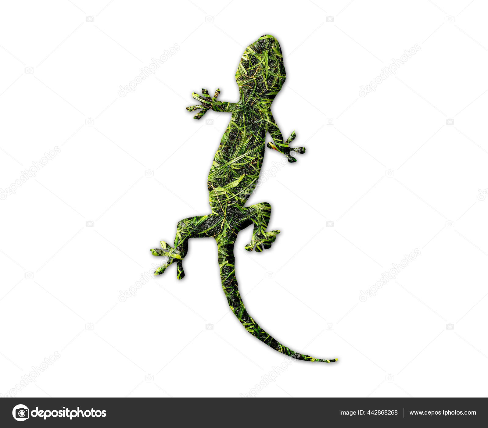 Lizard Shape Grass Texture Isolated White Background — Stock Photo ...