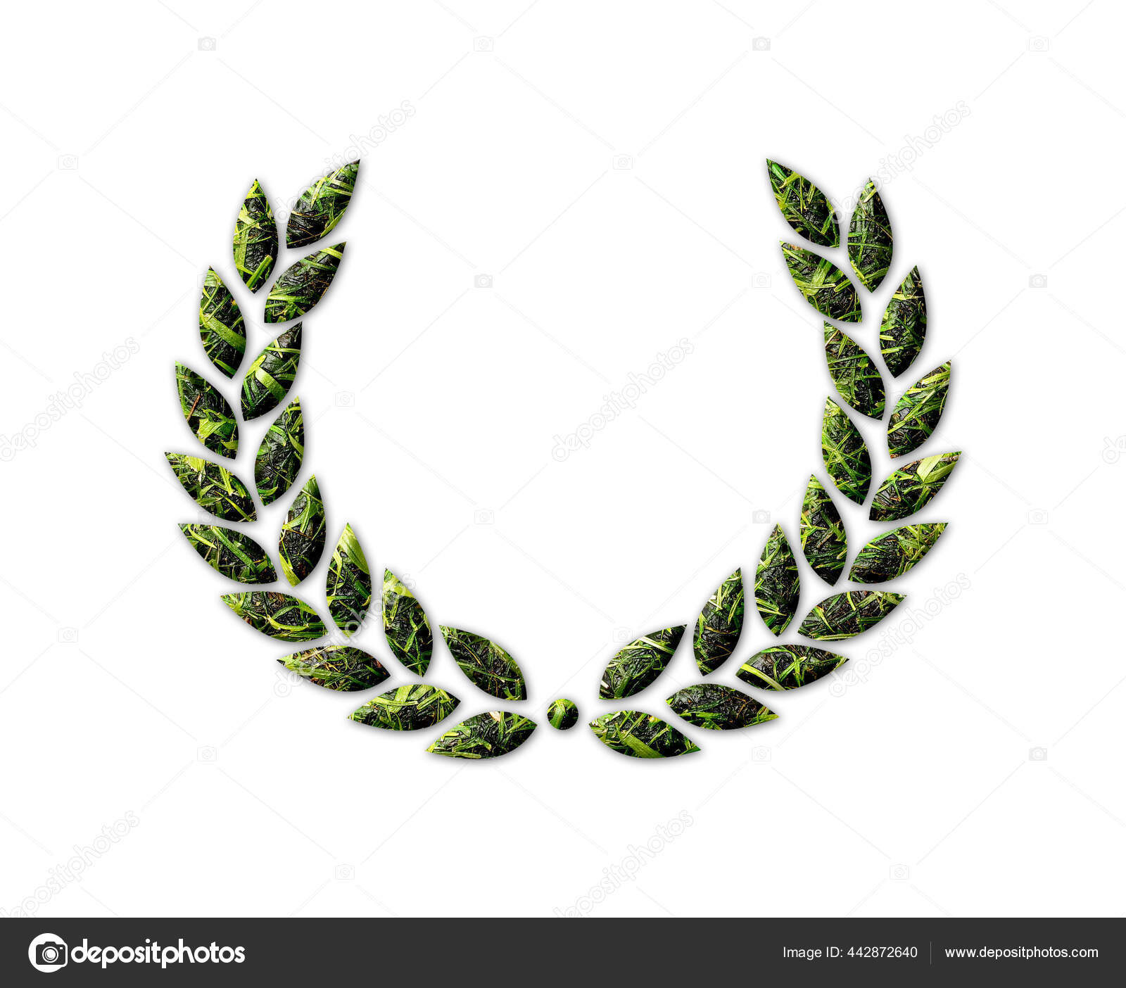 Athena Symbol Olive Tree