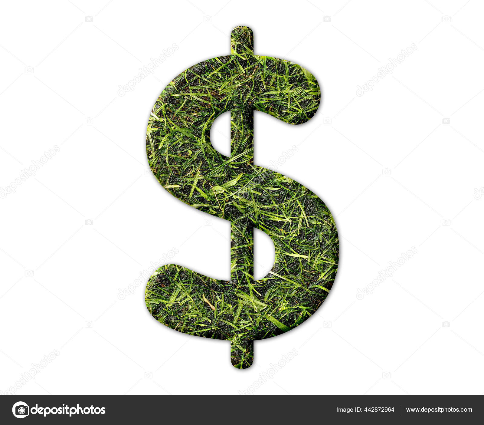 Dollar Sign Grass Texture Isolated White Background — Stock Photo ...
