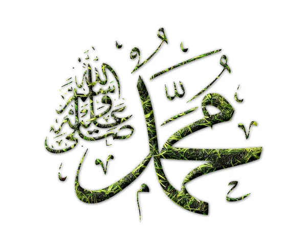 Outline Quran Verse Text Grass Print Isolated White Background Stock ...