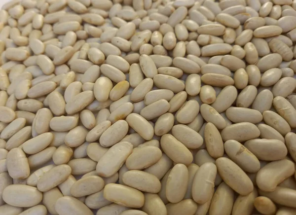 Background White Alubia Beans Source Protein Fiber Overhead Shot Full ...