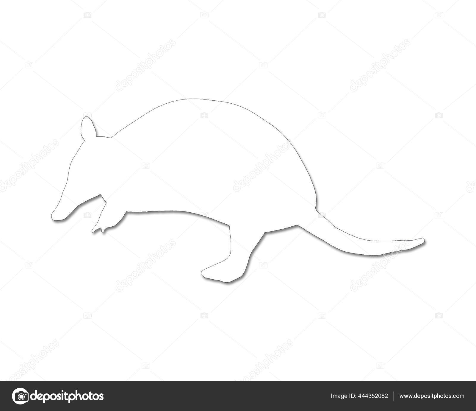 Outline Rat White Background — Stock Photo © Wirestock #444352082