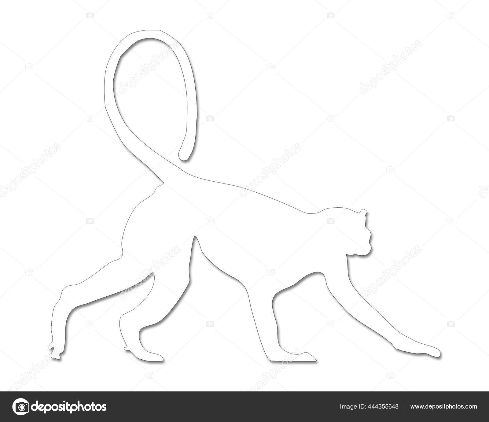 Illustration Monkey White Isolated White Background Stock Illustration ...
