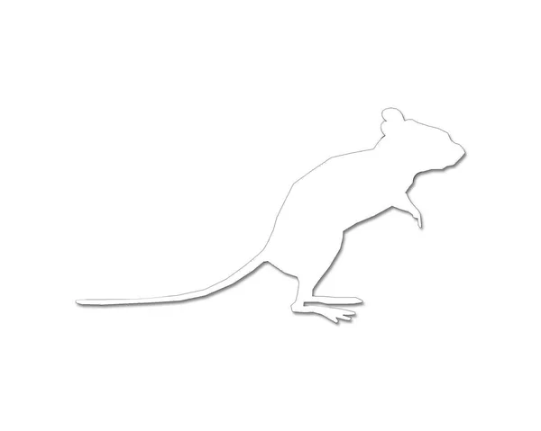 Mouse trace Stock Photos, Royalty Free Mouse trace Images | Depositphotos