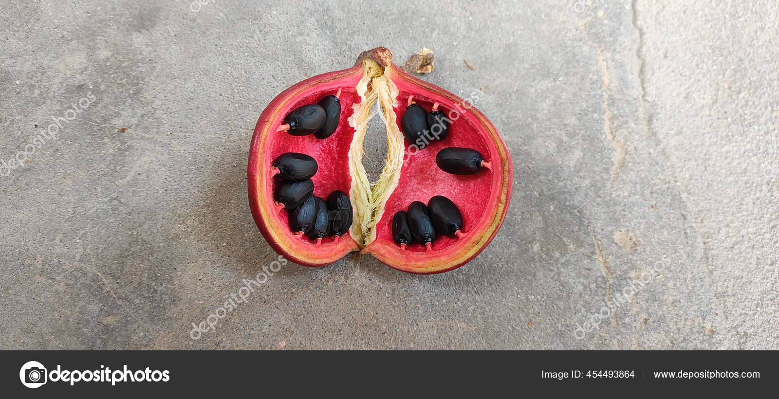 Top View Fruit Flame Bottletree Gray Grunge Background Stock Photo by ...