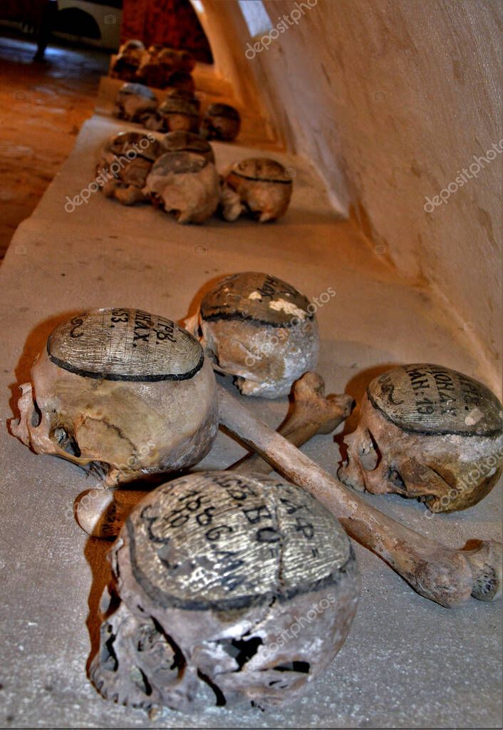 VANATORI, RUMANÍA - 01 de mayo de 2016: Estos son los huesos de los ...
