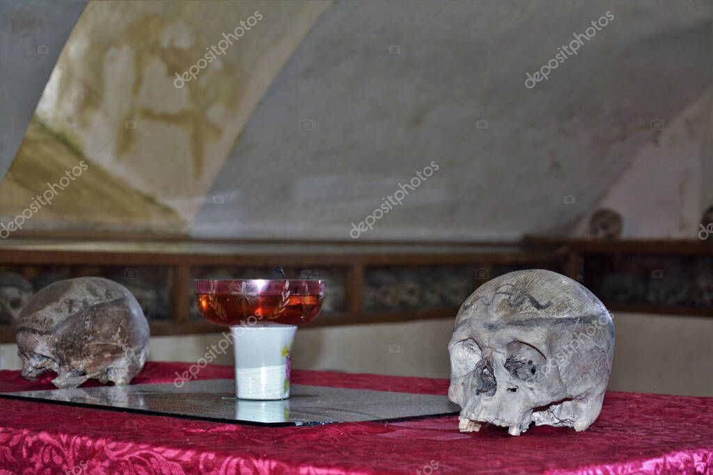 VANATORI, RUMANÍA - 01 de mayo de 2016: Estos son los huesos de los ...