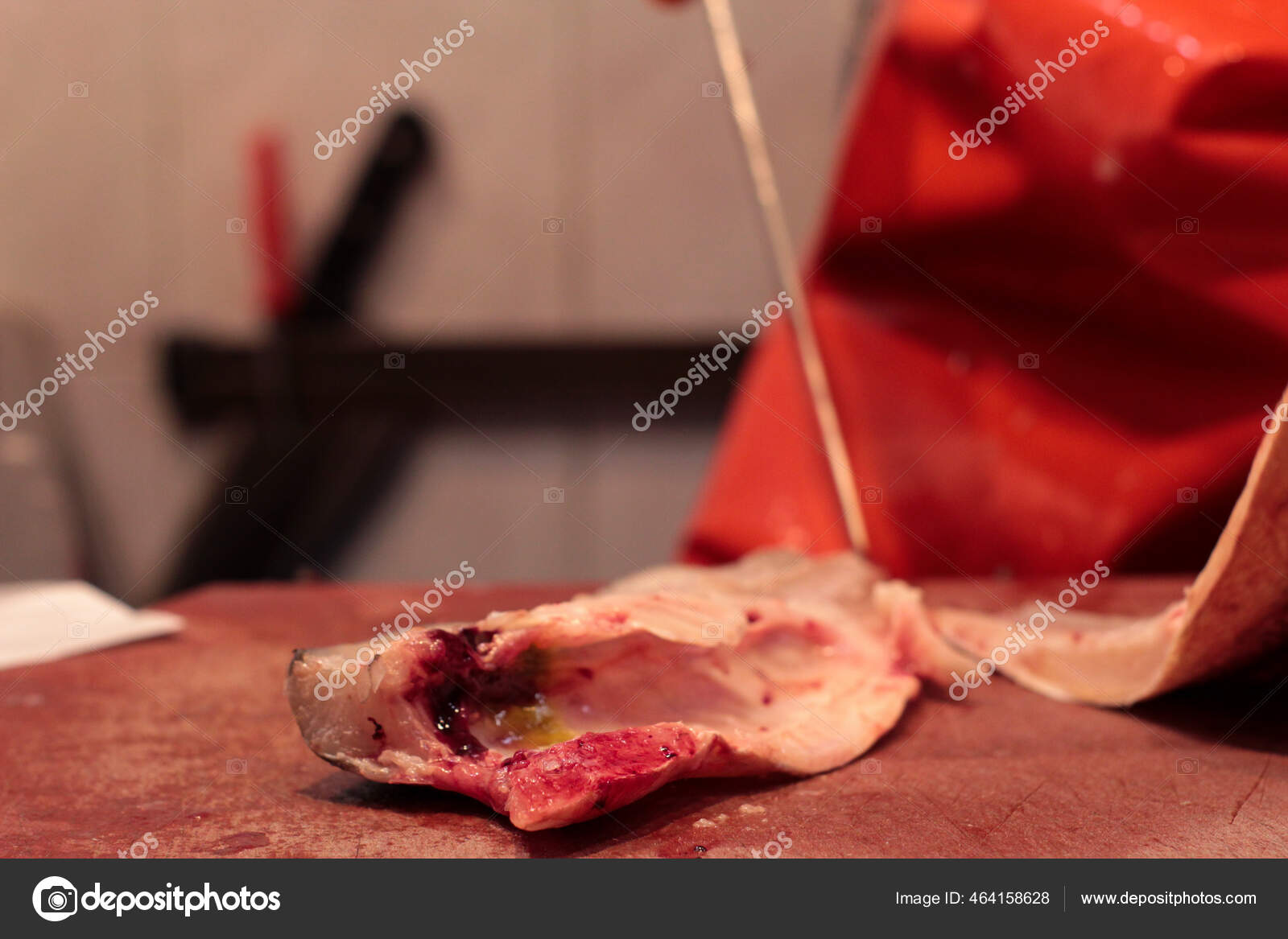 Fishmonger Cleaning Cutting Fish Sell — Stock Photo © Wirestock #464158628