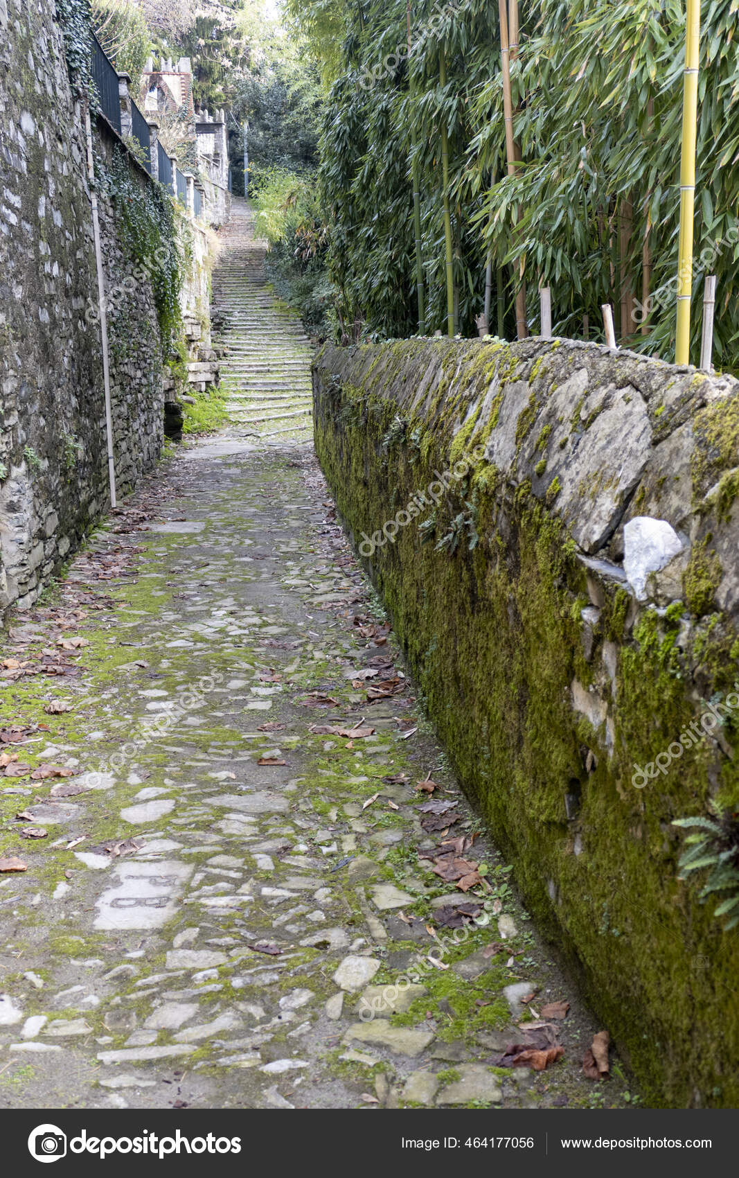 Vertical Shot Narrow Pathway Old Stone Buildings Covered Moss — Stock ...